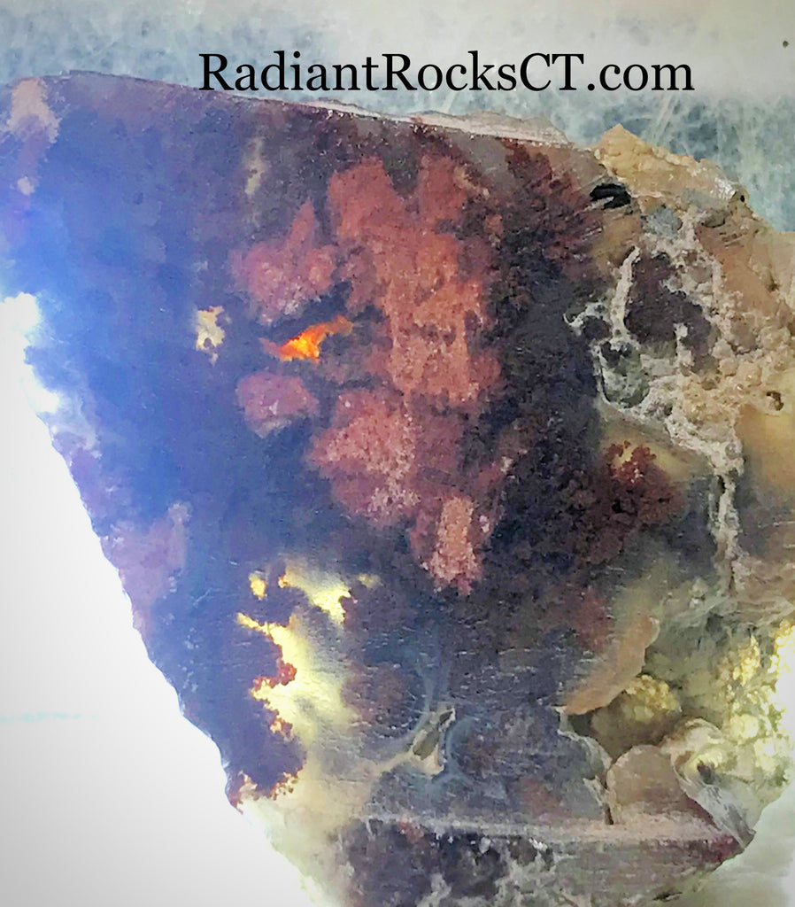Carey Plume Agate Lapidary slab 0.6 oz (15 grams) – Radiant Rocks CT